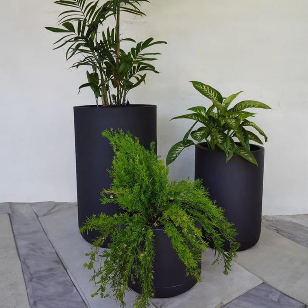 Match Cylinder Japi Planter with Saucer Black | elevenpast