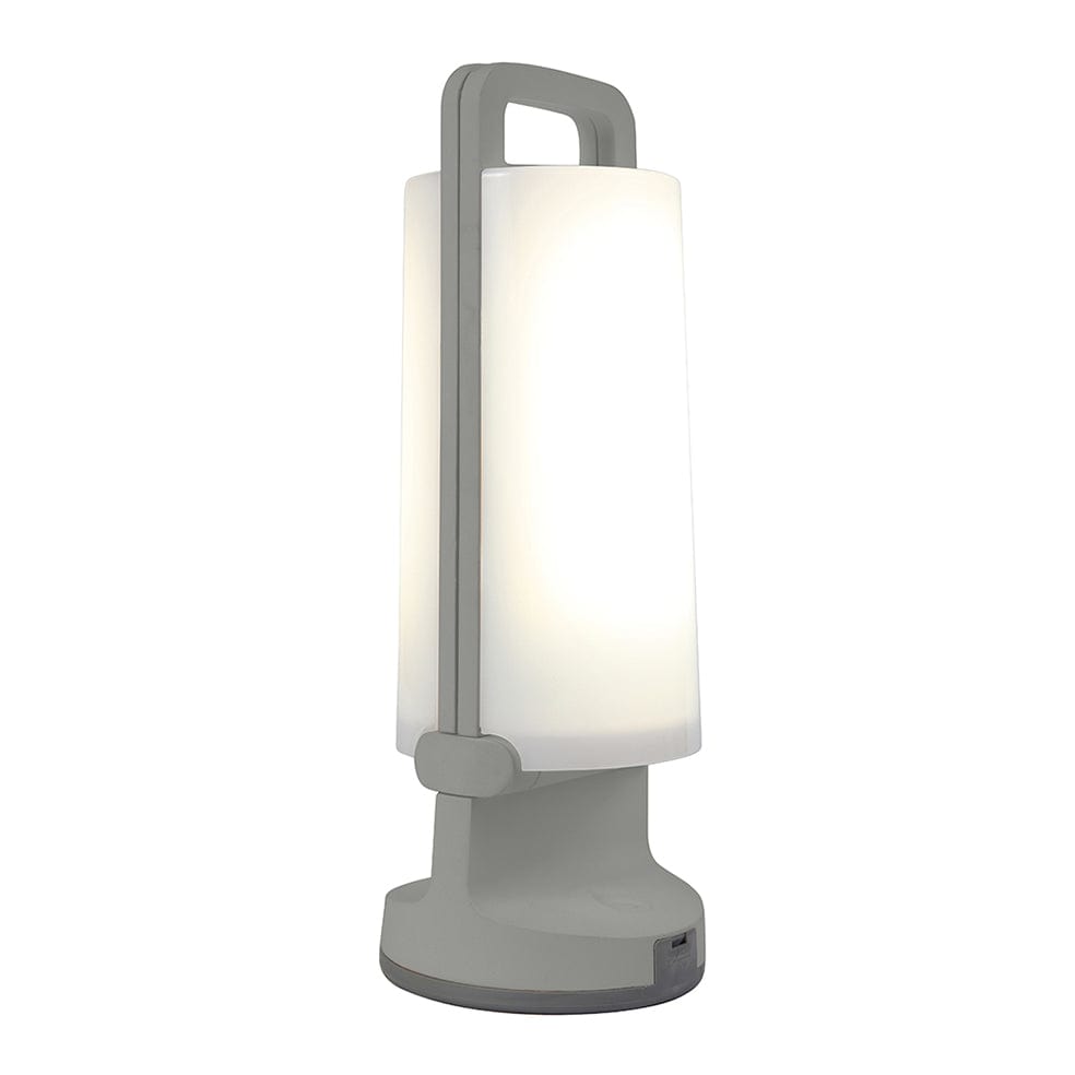 Solar Portable LED Dragonfly Outdoor Light Grey | elevenpast